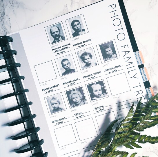 FamilyTreeNotebooks - Etsy