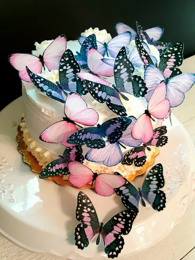 Sugarbutterflies - Etsy