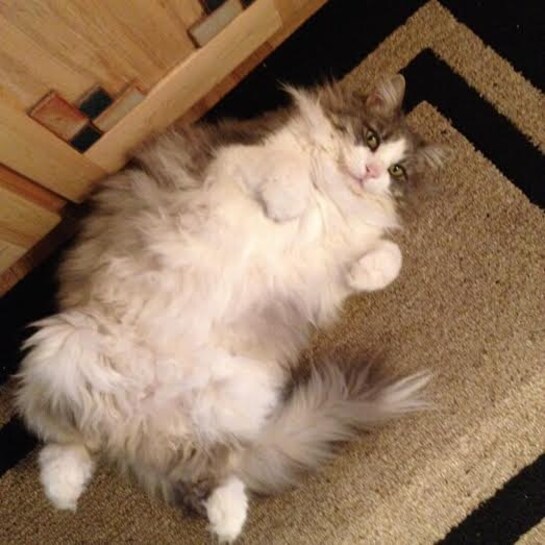 LittleRickyCards - Etsy