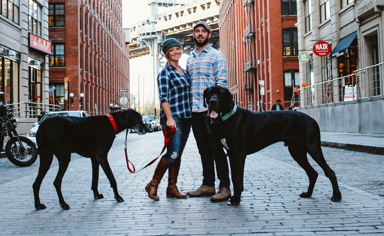 JenBrandonStudio - Etsy