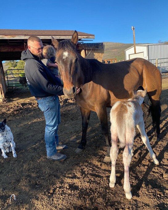 HalfassRanchDesign - Etsy