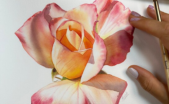 mariawatercolors - Etsy