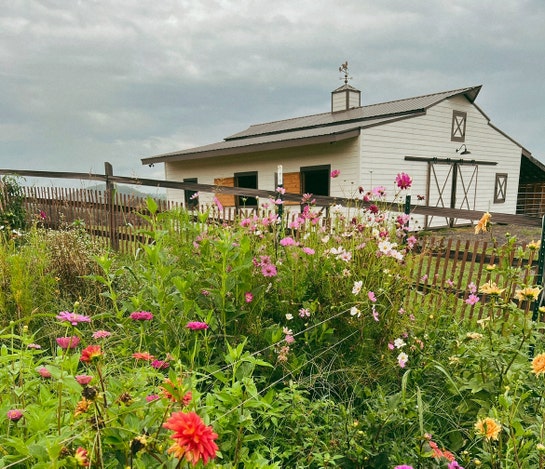 StagRidgeMercantile - Etsy