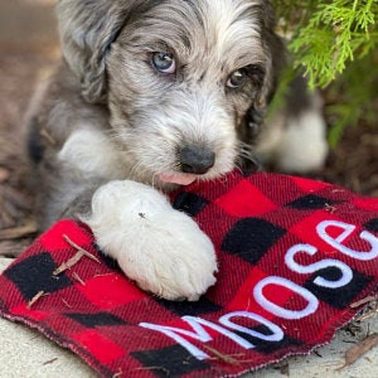 ChipmunkCheeksSewing - Etsy