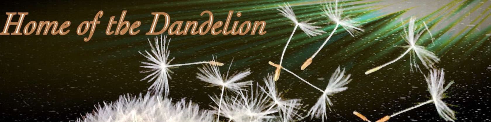 Nadine Kay Designs by Nadinekaydesigns on Etsy