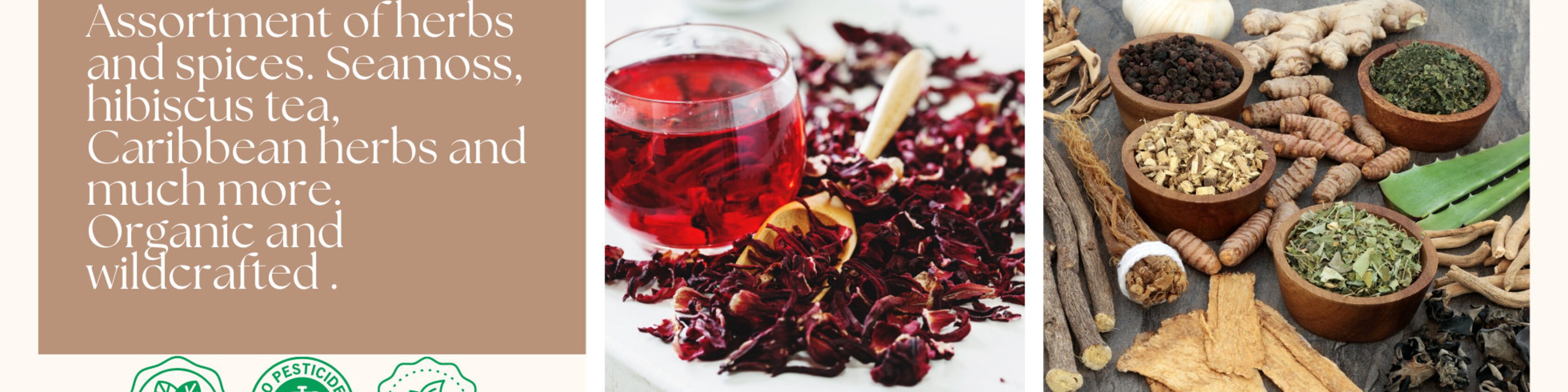 SavvyEcoLiving - Etsy