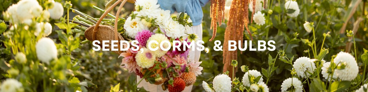 originandnorth - Etsy