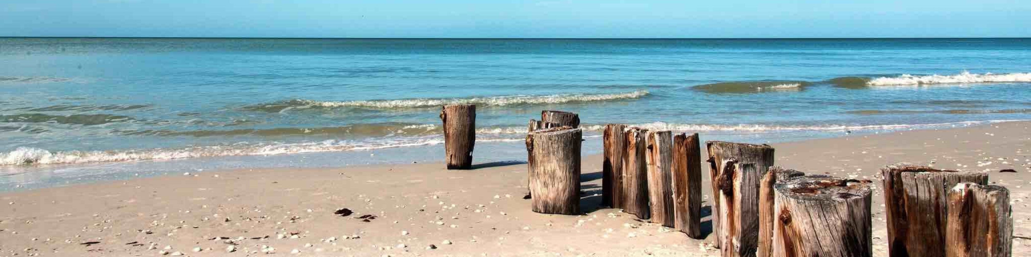 Coastal Collections by coastalcollections25 on Etsy