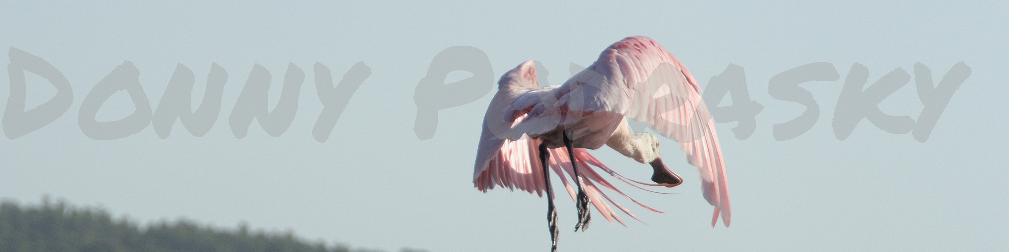 DonnyPodrasky - Etsy