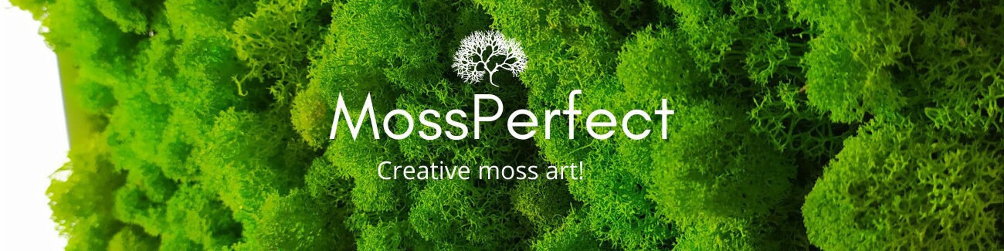MossPerfect - Etsy