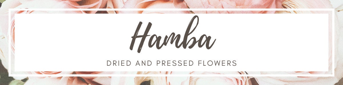 Hamba - Etsy
