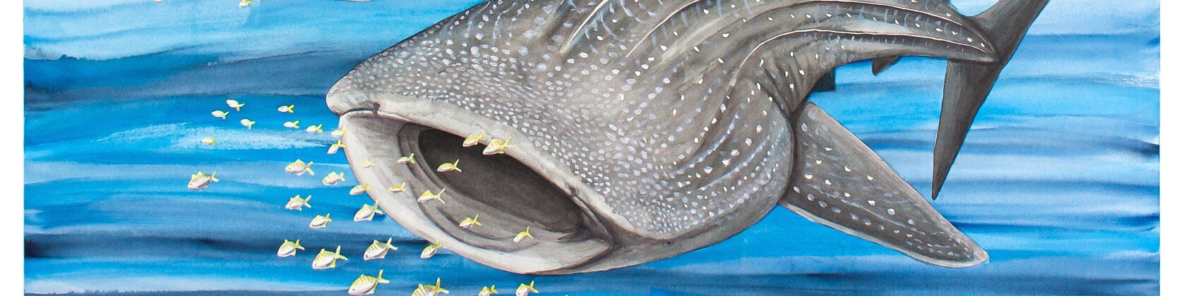 SeaConnectionArt - Etsy