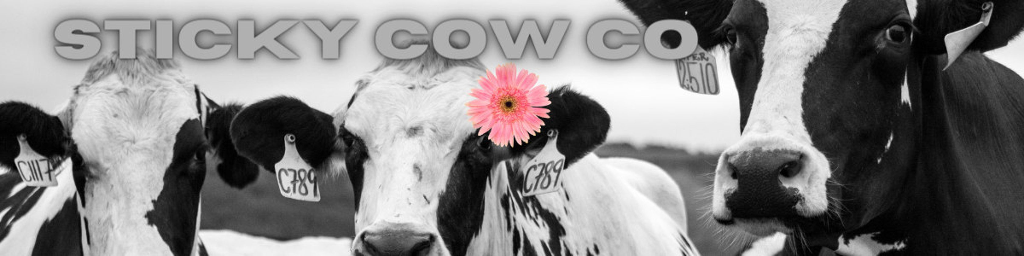 StickyCowCo - Etsy
