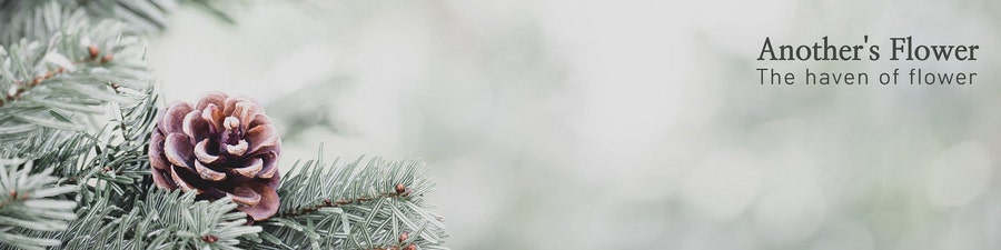 ANOTHERSFLOWER - Etsy