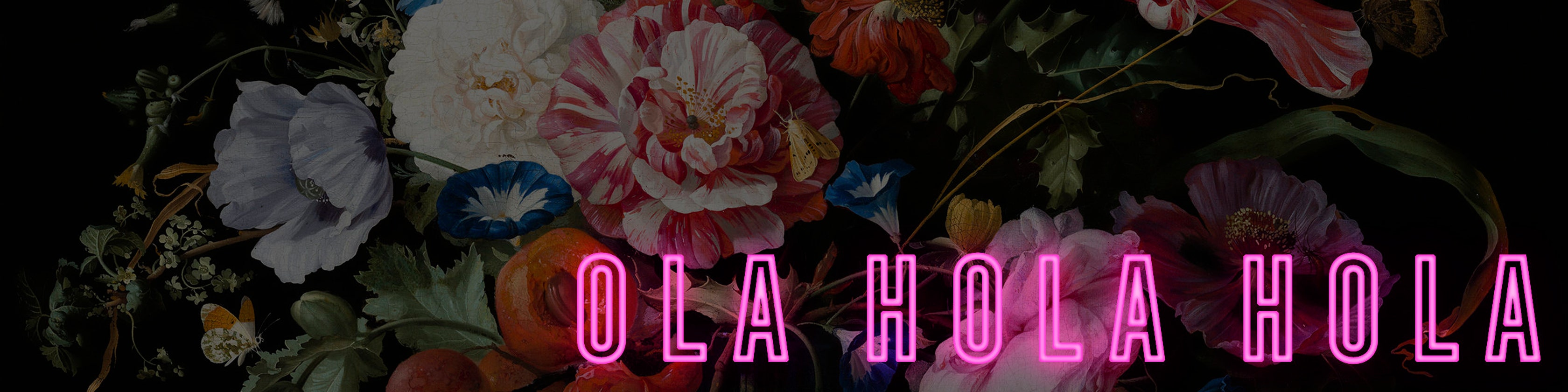 OlaHolaHola - Etsy