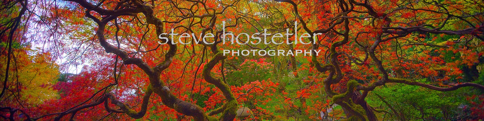 SteveHostetlerPhoto - Etsy