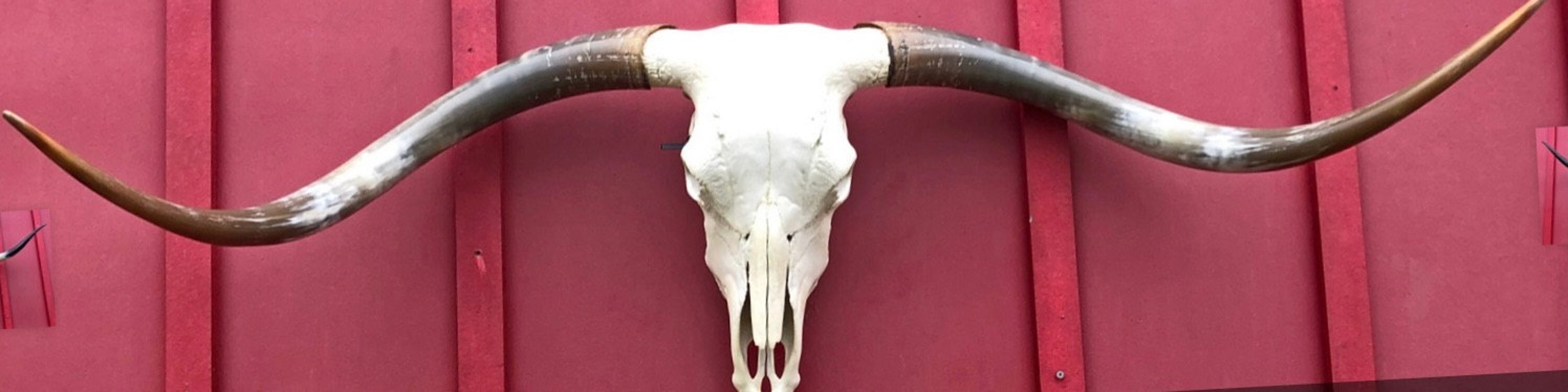 CustomAntlers | Etsy