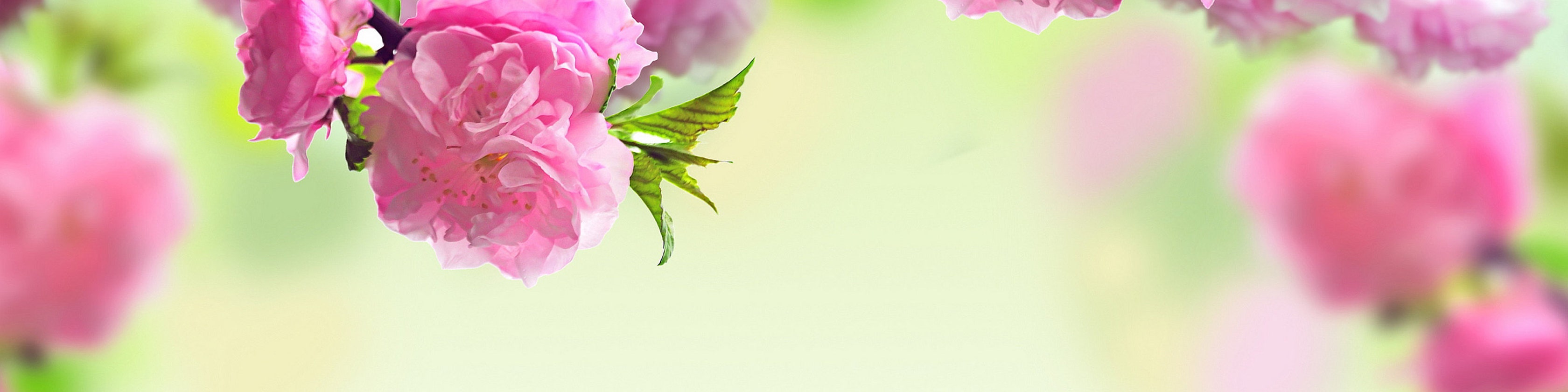 FreedomandFaithStore - Etsy