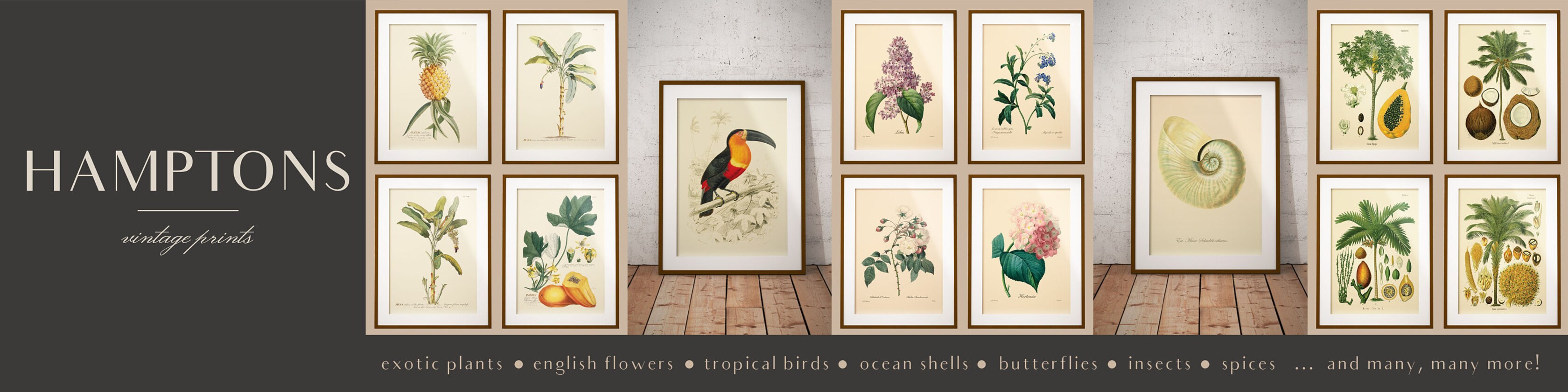 Beautiful vintage prints in coastal Hamptons by HamptonsPrints