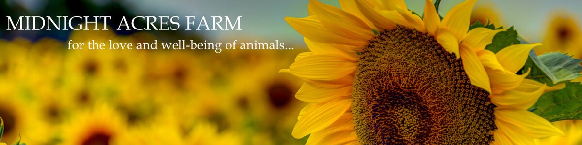 MidnightAcresFarm - Etsy