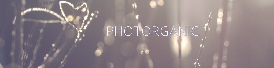 Photorganic - Etsy