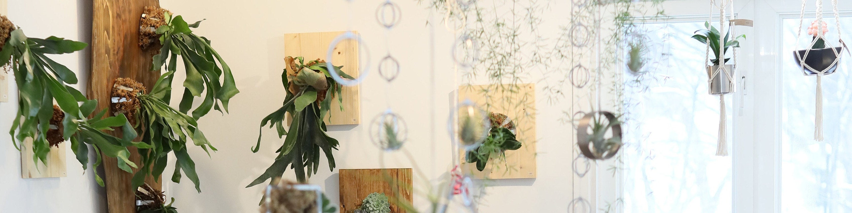 Murs végétaux et autres produits horticoles en métal par VertMetal