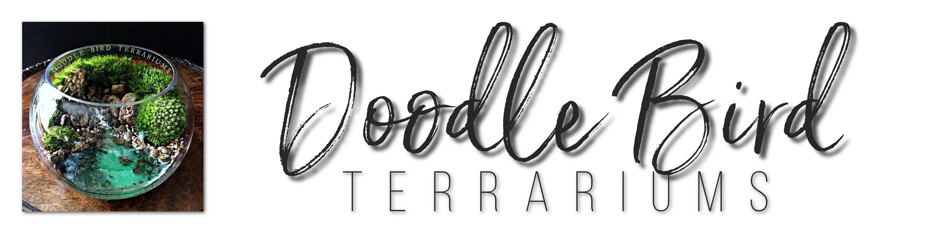 Doodle Bird Terrariums