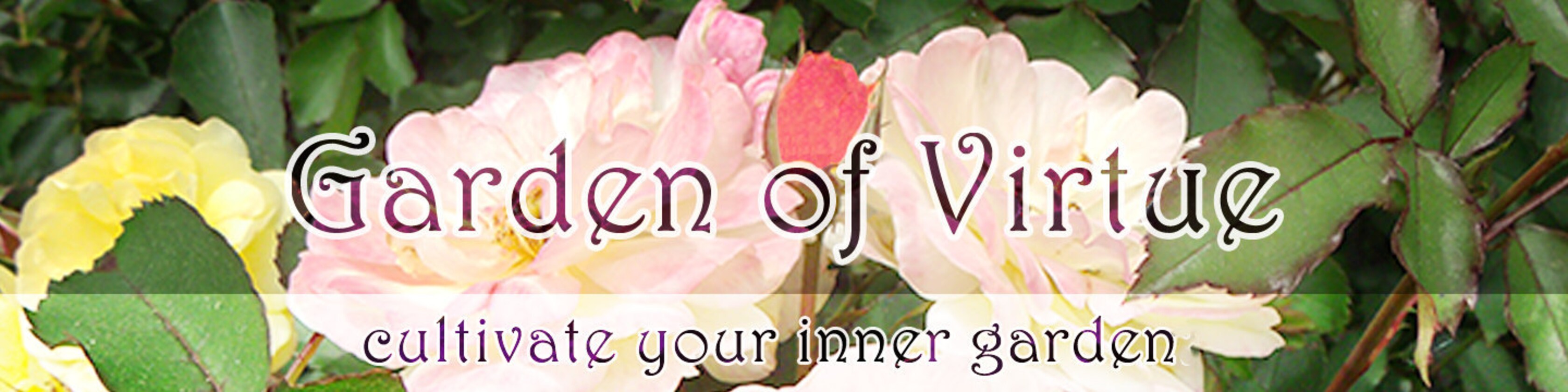 Cultivate your inner garden by GardenofVirtue on Etsy
