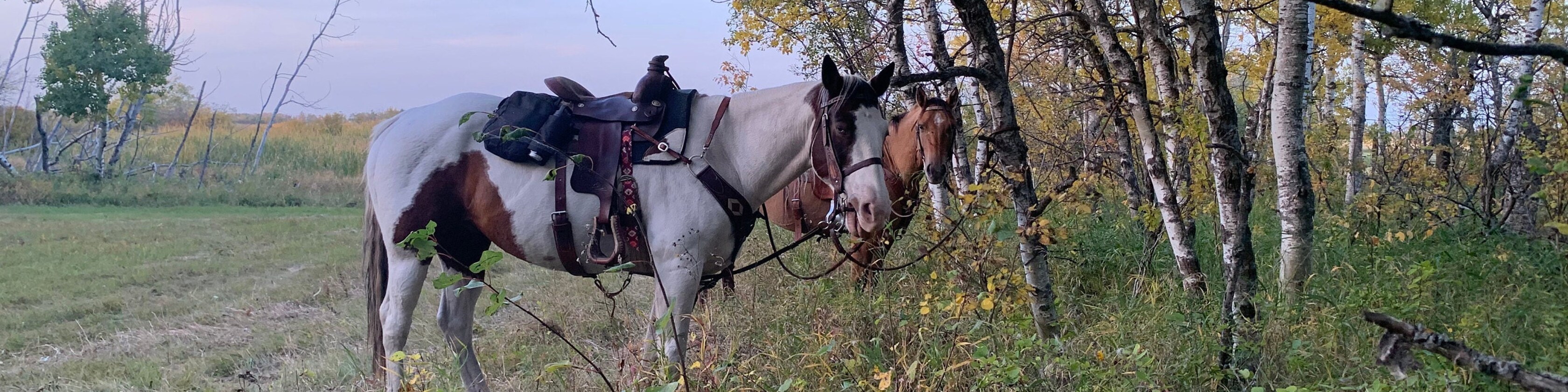 EmilyGustDesign - Etsy