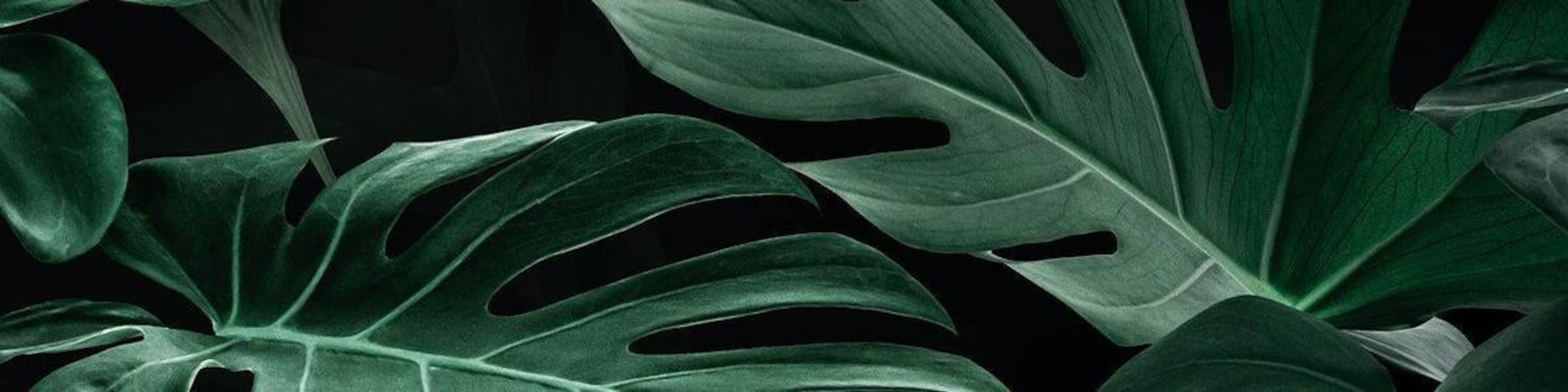 FooploopByBabyfooji - Etsy