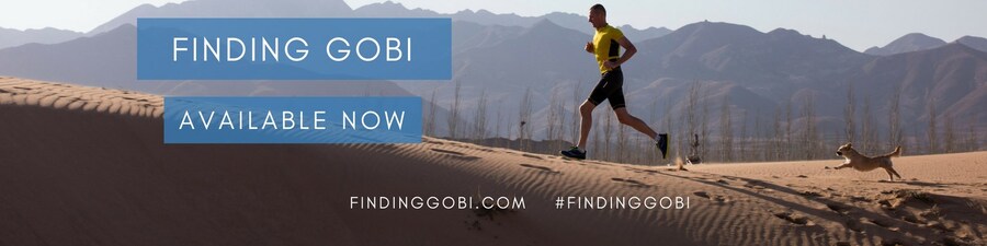 FindingGobi - Etsy