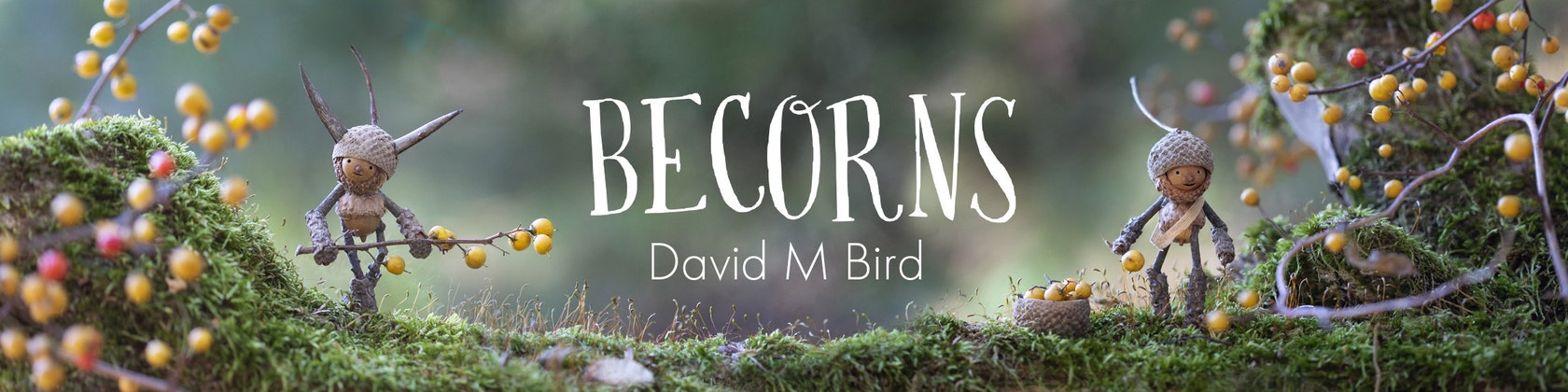 Whimsical photography prints of acorn people by DavidMBird on Etsy