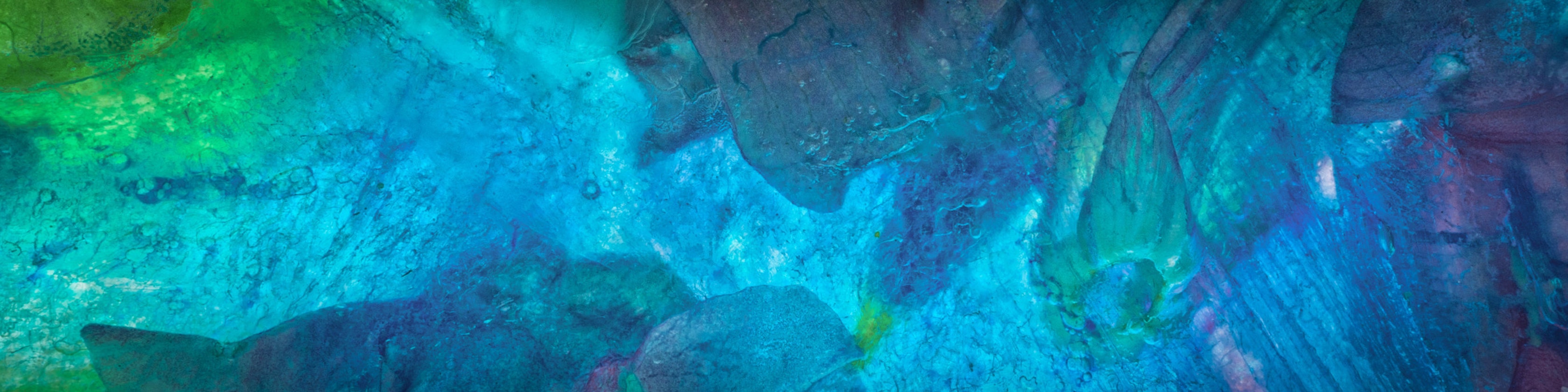 Fine Art Photography and Home Decor by ZinchiksWorld on Etsy