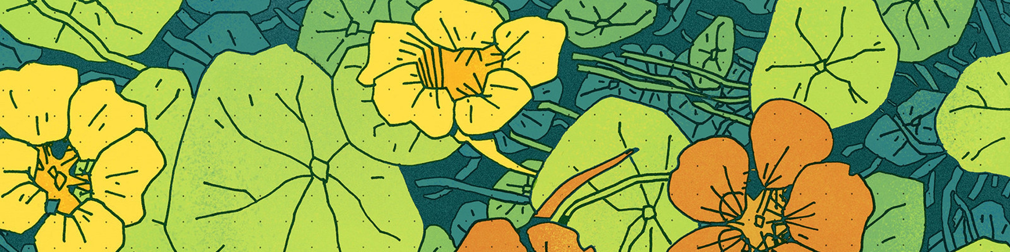 HexHiveWorkshop - Etsy