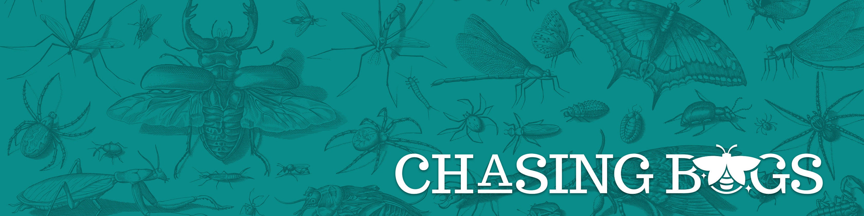 Chasing Bugs by ChasingBugsMerch on Etsy
