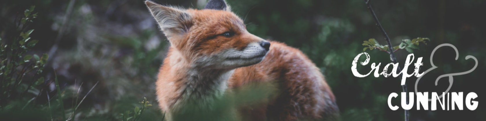 CraftAndCunning (by Cayla) - Etsy