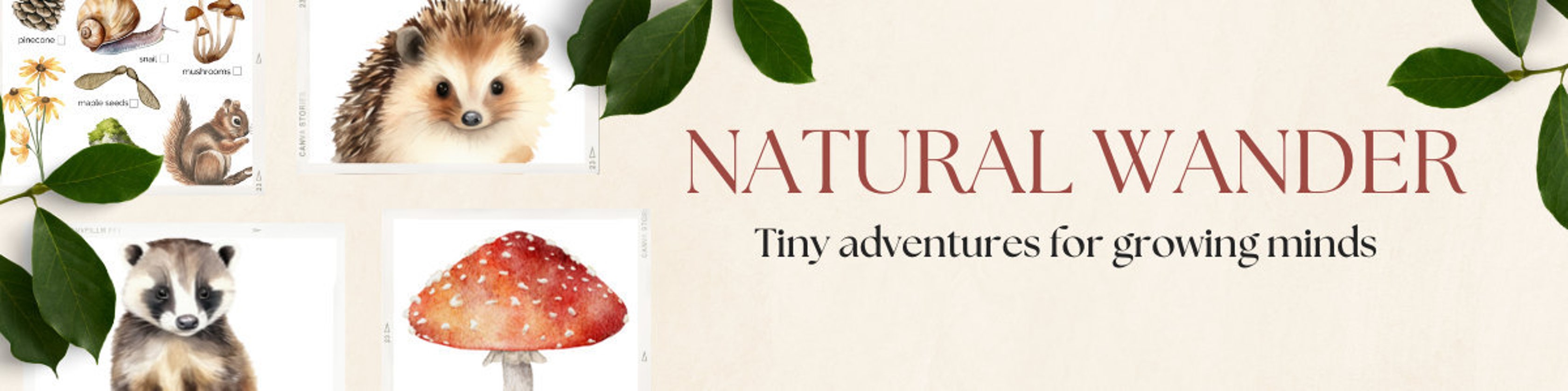 NaturalWanderStudio - Etsy