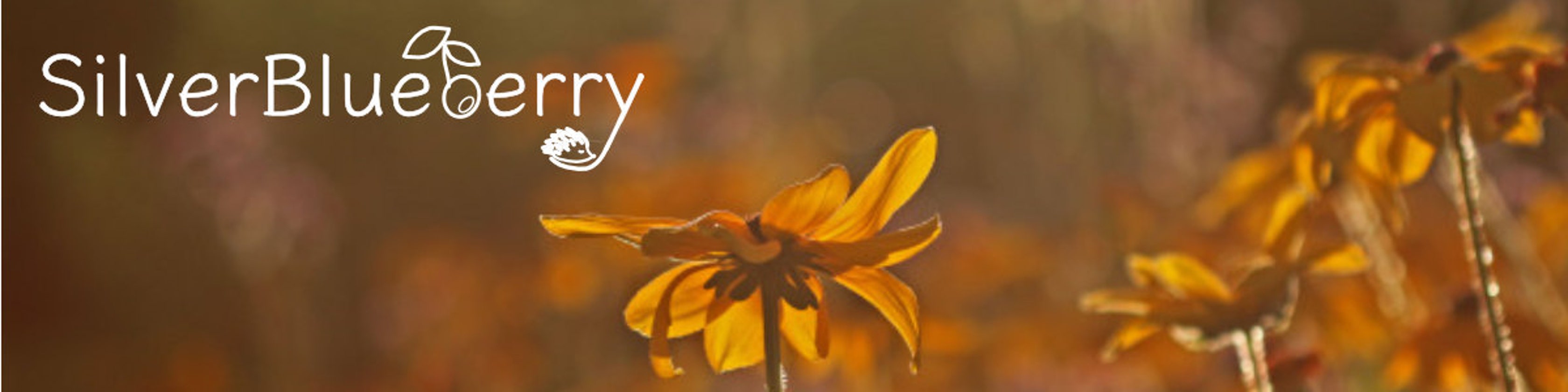 SilverBlueberry - Etsy
