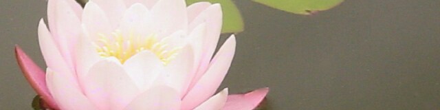 Vedavati - Etsy