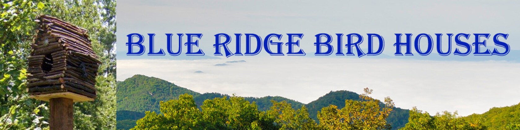 BlueRidgeBirdHouses - Etsy