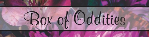 BoxOfOddities - Etsy