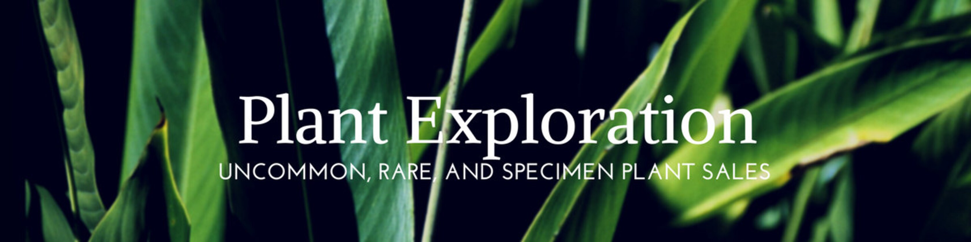 PlantExploration - Etsy