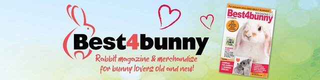 Best4bunny - Etsy UK