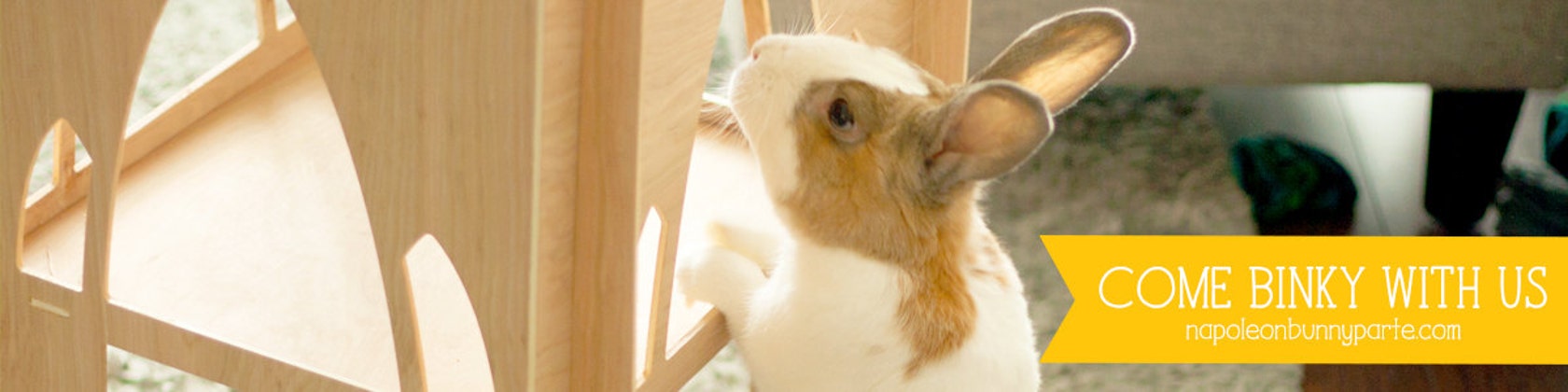 Toys and Treats For Regal Rabbits. Come by NapoleonBunnyparte