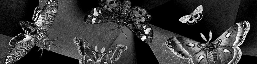 FROSTMOTHAPOTHECARY | Etsy