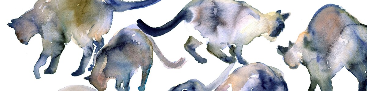 Original watercolor paintings of cats and landscapes by bodorka