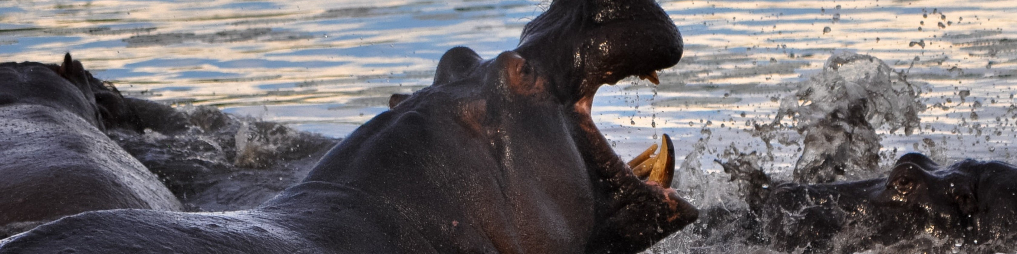 WorldPhotosCompany - Etsy