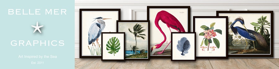 BelleMerGraphics - Etsy