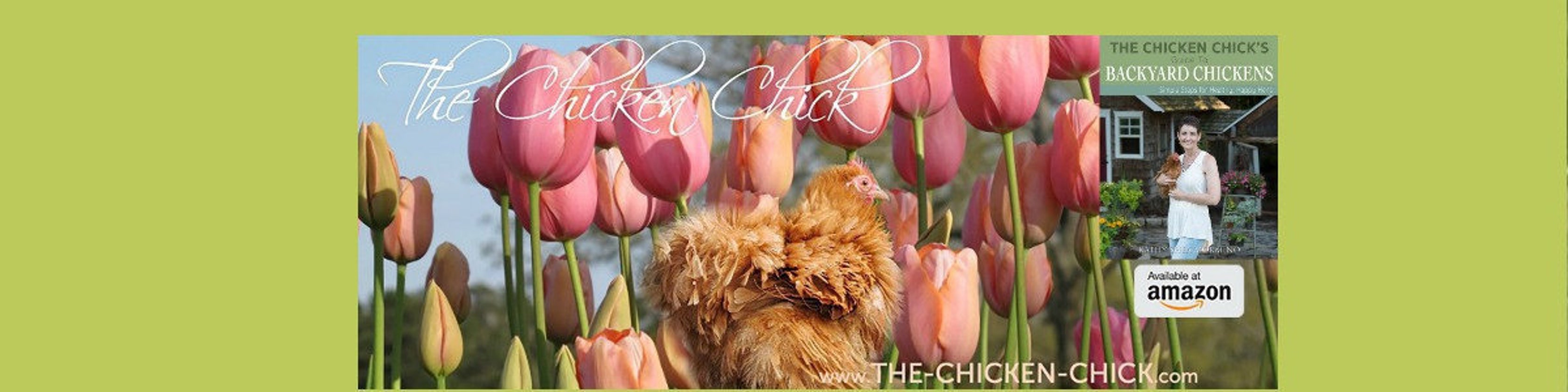 TheChickenChickShop - Etsy