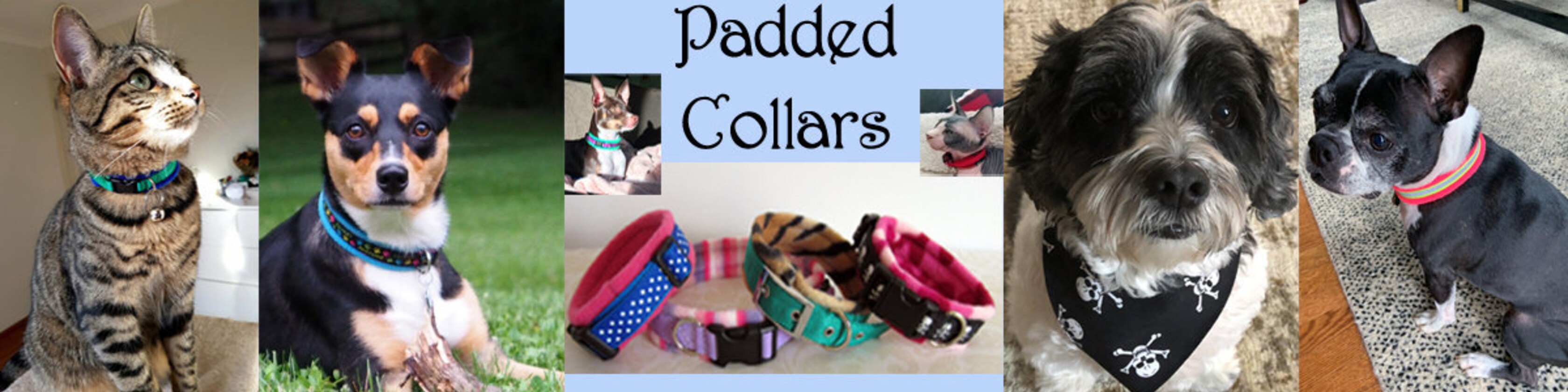 PaddedCollars - Etsy